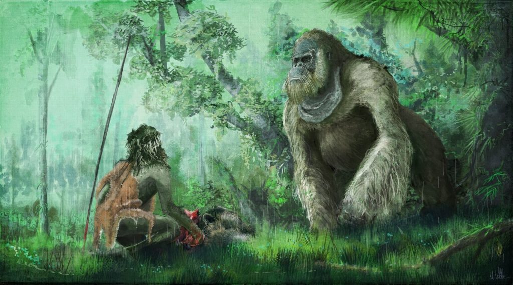 Gigantopithecus – Der größte Affe aller Zeiten - Jinzo X